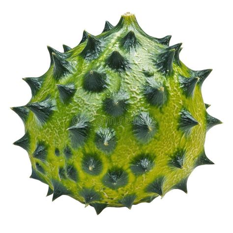 Close Up Of Kiwano Fruit Horned Melon African Cucumber Food Item On
