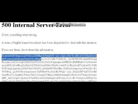 Monkeys Fixing An Error YouTube