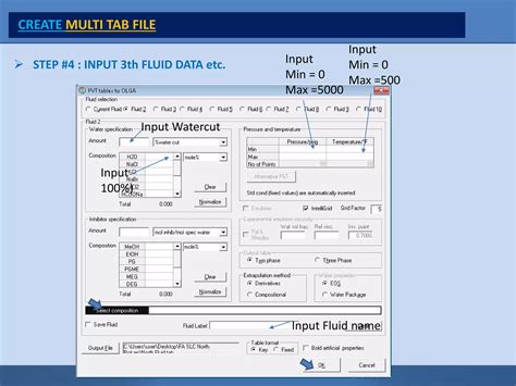 01 Olga Network And Pvt Simpptx