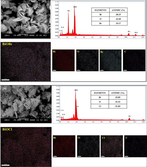 Sem Images Edx And Elemental Mapping Of A Biobr B Biocl C Bioi D