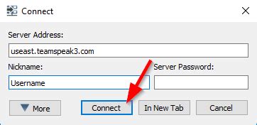 TeamSpeak 3 Server How To Go Through The Inital TeamSpeak 3