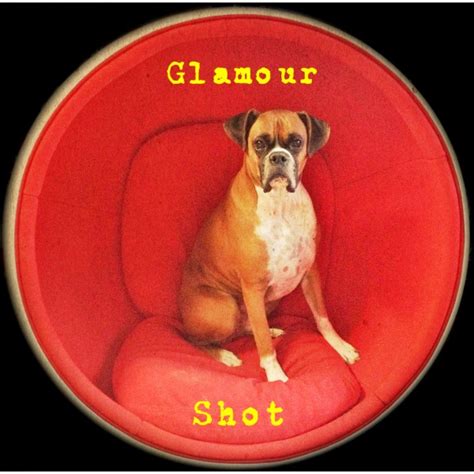 Glamour Shot Voxvalens