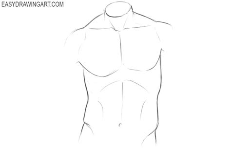 How To Draw A Torso