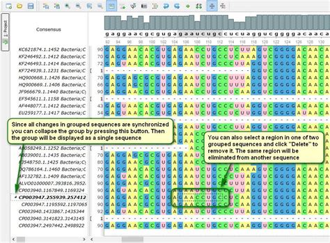 Amino Translations And Identical Sequences Unipro Ugene