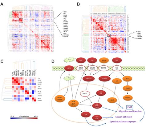 Correlation Matrix Heatmaps Showing The Association Between Mrna