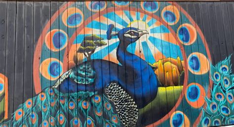 Exploring Constraint Satisfaction Problems