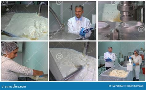 Dairy Product Manufacturing Dairy Processing Plant Photo Collage