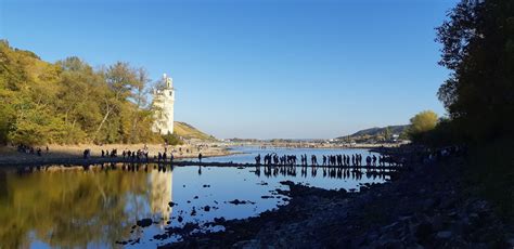 Bingen Am Rhein Historic City With Wine Tradition And Impressive