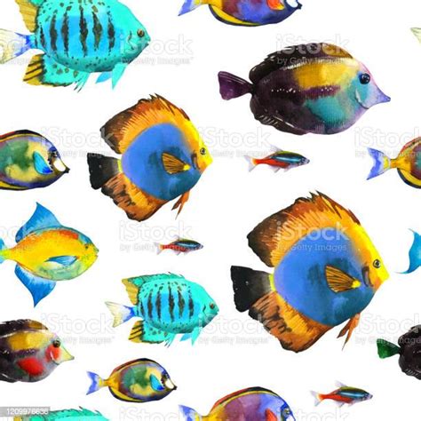 열대 어류와 원활한 패턴 흰색 배경에 손으로 그린 수족관 이국적인 물고기와 수채화 그림 개체 그룹에 대한 스톡 벡터 아트 및