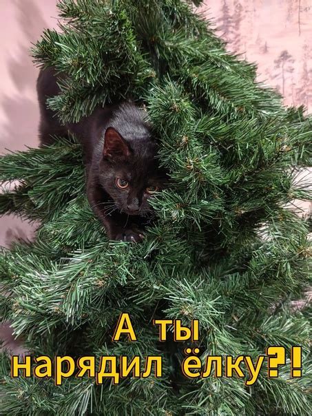 20 декабря День рождения новогодней елки В России первая новогодняя елка появилась при Петре