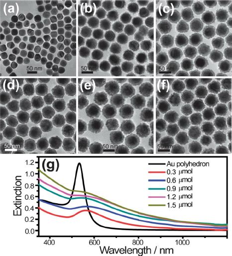 Aupd Core Shell Nanodendrites A Tem Image B And C Haadf Stem
