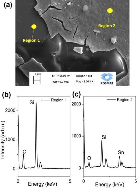 Sem And Energy Dispersive Spectroscopy Eds Of Sample Swt Containing