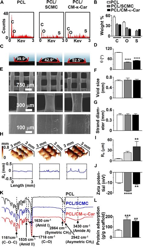 Effect Of Surface Functionalization Of 3d Printed Pcl Scaffolds By Scmc