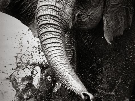 Long Running Queries In Postgresql Troubleshoot And Optimise
