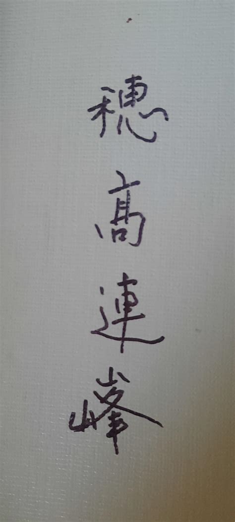 Chinese English What Does This Say Rtranslator