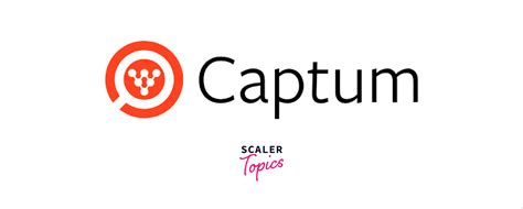 Transformer Visualization And Explainabilitys Scaler Topics