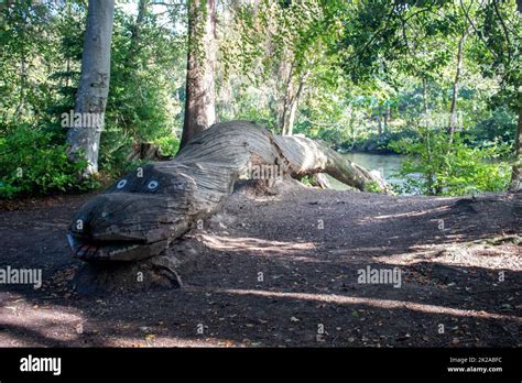 Fallen Tree With Face Made To Look Like The Loch Ness Monster Nessie
