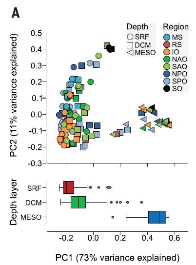 pcoa boxplot：宏基因组扩增子组间差异分析（beta多样性组合图） r怎么进行beta多样性差异分析分析 csdn博客