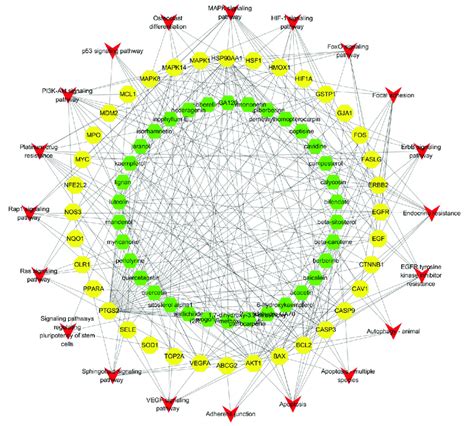 Component Target Pathway Network Download Scientific Diagram