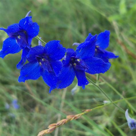 Perspirex 🤍original Спиртэн суурьтай Их хөлөрдөг хүнд зориулсан