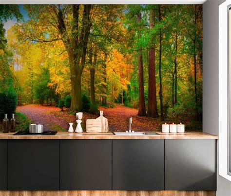 Wall Mural Colorful Autumn Forest With Winding Path U08547 Muralas