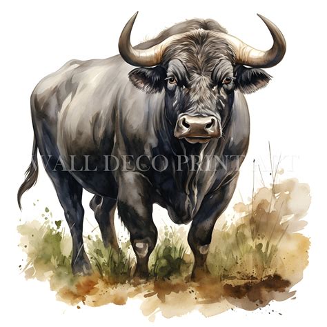 Black Majestic Bull Clipart Bundle 10 High Quality S Digital