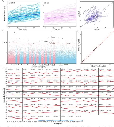 Figure 3 From An Eco Evo Devo Genetic Network Model Of Stress Response Semantic Scholar