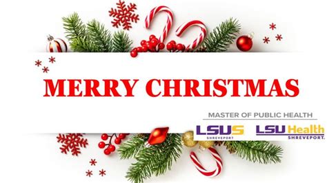 Mph Program At Lsu Health Shreveport And Lsus Posted On Linkedin