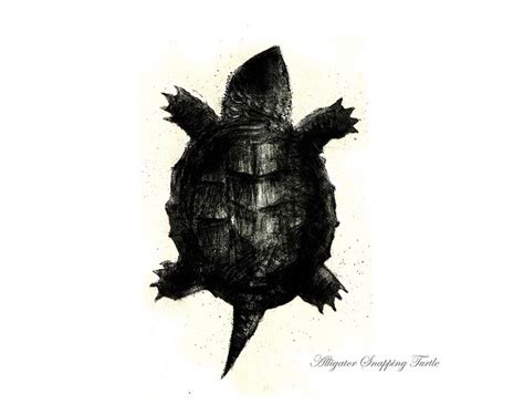 Alligator Snapping Turtle Alligator Snapping Turtle Turtle Tattoo Turtle Drawing