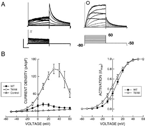 Steady Current Voltage Relations And Voltage Dependence Of Activation Download Scientific