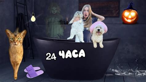 24 ЧАСА В ВАННОЙ ПЕРЕД ХЕЛЛОУИНОМ С КОТАМИ И СОБАКОЙ Youtube