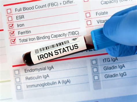 Iron Vs Ferritin Compared Differences Range And How To Manage It