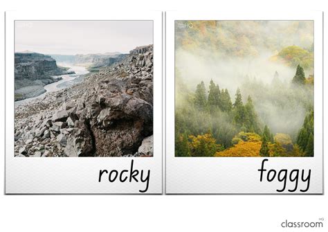 Non Fiction Information Text Posters And Word Wall Animal Habitat