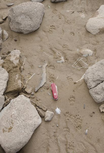 Adw Neovison Vison Pictures