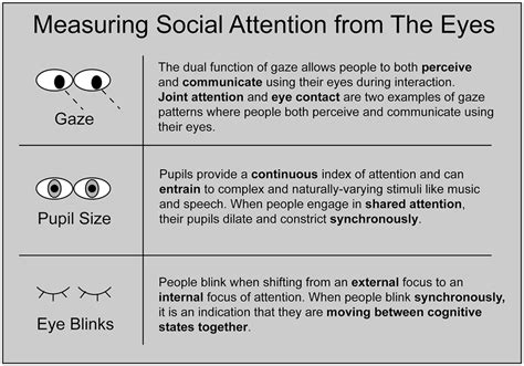 Schematic Of Three Forms Of Social Attention That Can Be Measured Using Download Scientific