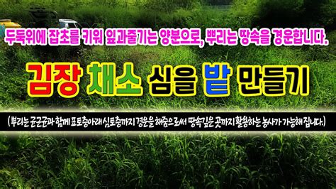 2021080454김장 채소 심을 밭 만들기 Youtube