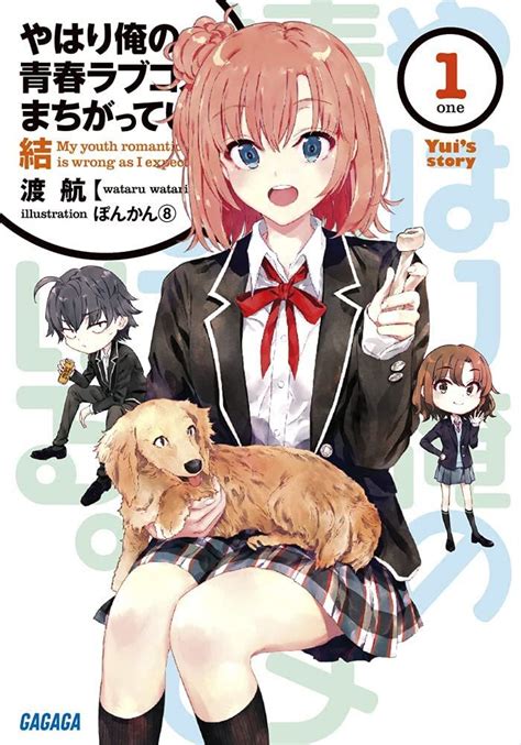 My Youth Romantic Comedy Is Wrong As I Expected Yui Light Novel