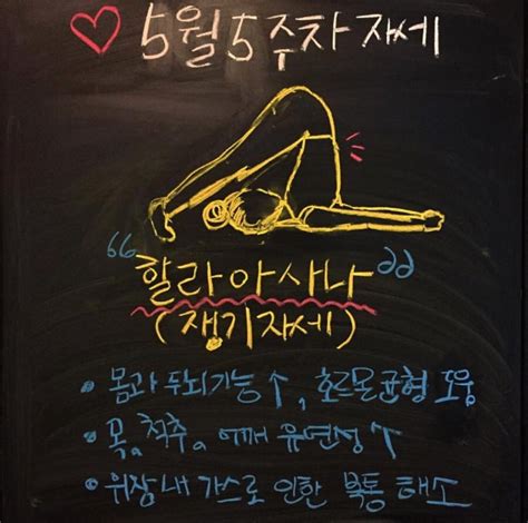 인천논현요가엔젤스핫요가와 함께 배우는 초보요가 할라아사나 쟁기자세 네이버 블로그
