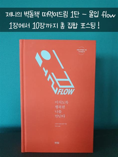 벽돌책 떠먹여드림 몰입 Flow 미치도록 행복한 나를 만난다 미하이칙센트미하이 네이버 블로그