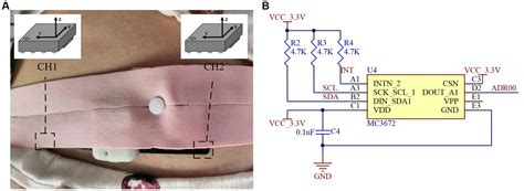 A Wearable Fetal Movement Detection System For Pregnant Women Cn1699