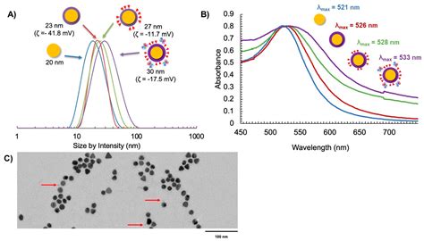 Targeted Doxorubicin Loaded Dendronized Gold Nanoparticles