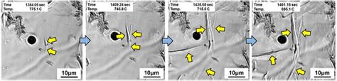 Af Nucleates On Tinmns Inclusions Download Scientific Diagram