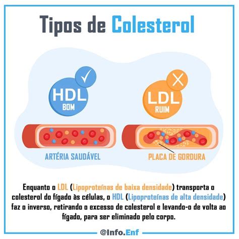 Tipos De Colesterol Cuidados De Enfermagem Curso Tecnico De Enfermagem Tecnico Em Enfermagem