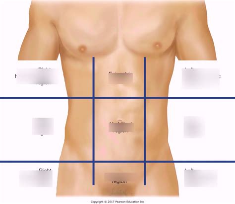 Chapter 4 Diagram Quizlet