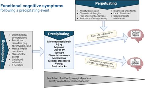 Precipitating Factors For Functional Cognitive Disorder Pmc