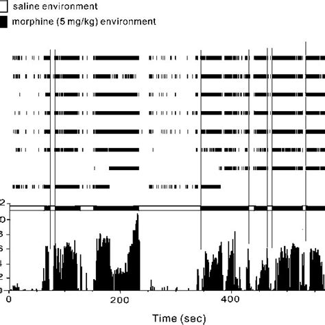 Representative Firing Frequency Rastergram Showing Real Time Mpfc