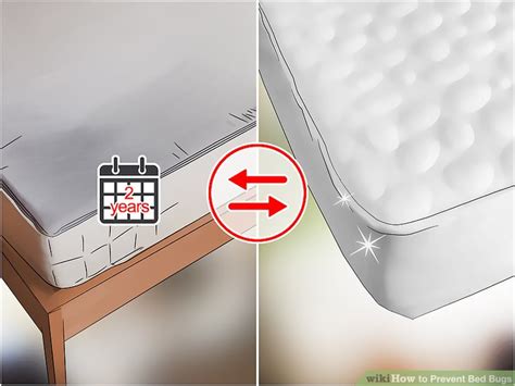 The Best Ways To Prevent Bed Bugs WikiHow