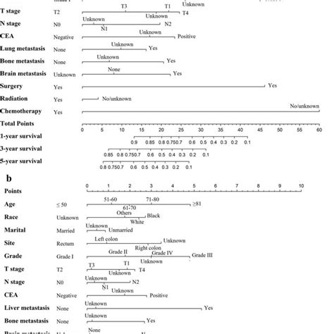 Flowchart Of The Selection Of Crc Patients Download Scientific Diagram