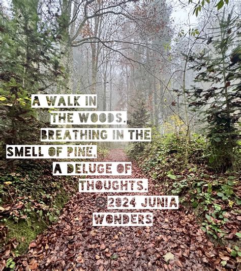 Creative Fuel Junia Wonders